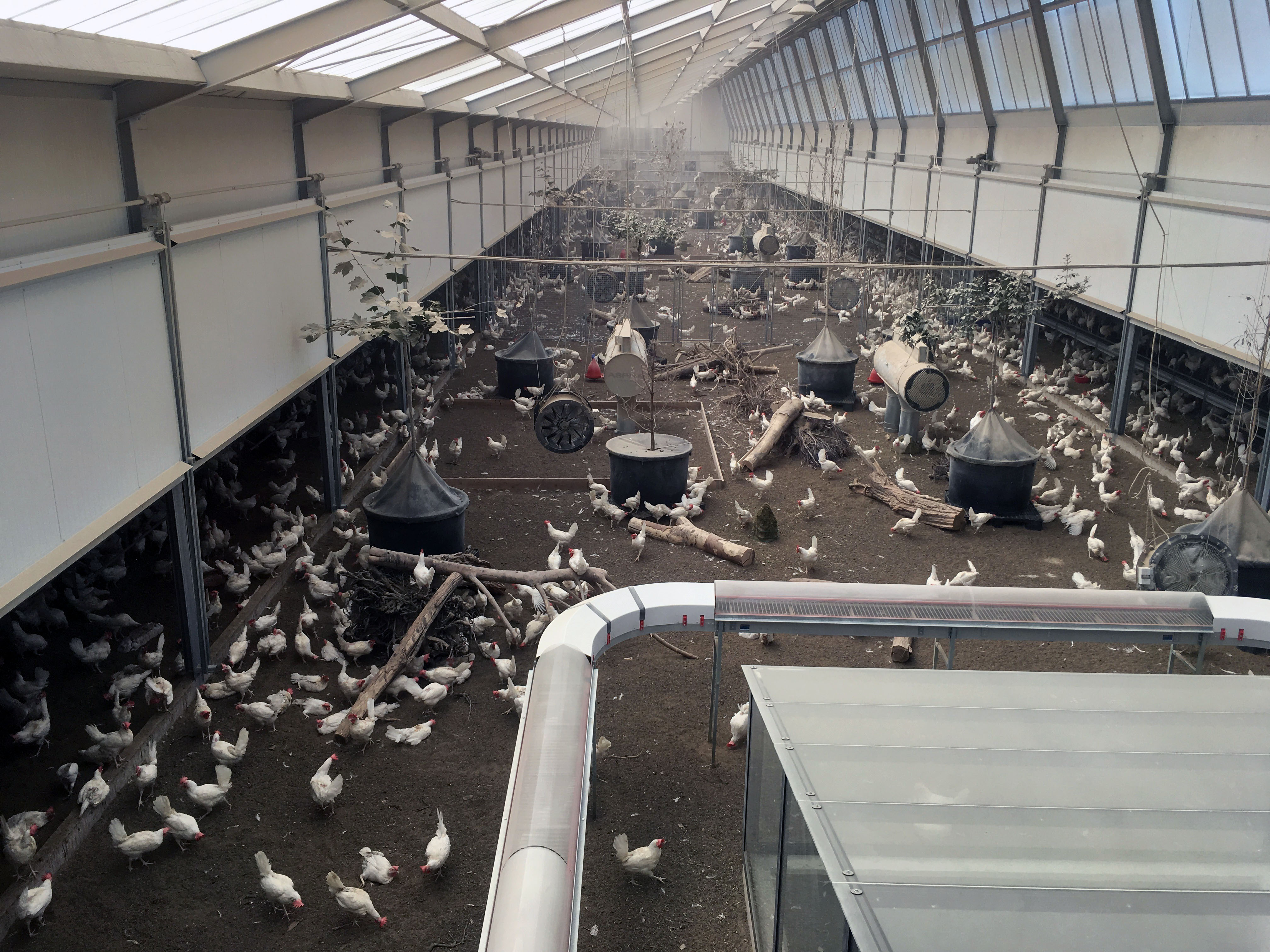 Here’s what the egg farm of the future looks like